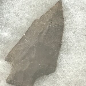 FOSSILS and ARROWHEADS Trilobites and Bony Fish - Etsy
