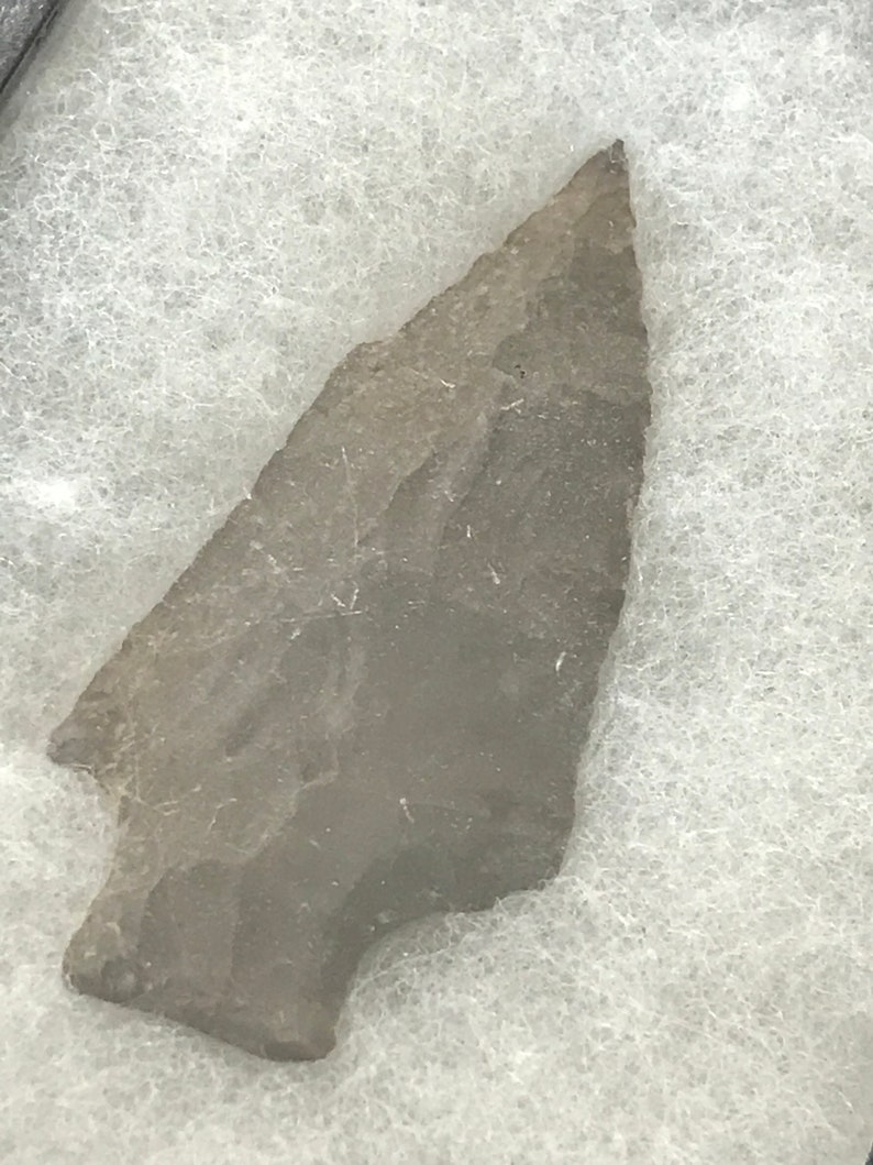 FOSSILS and ARROWHEADS Trilobites and Bony Fish - Etsy