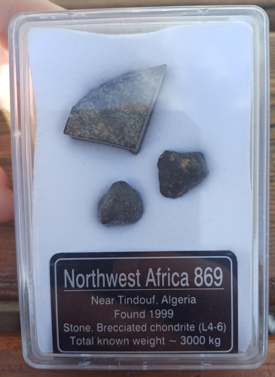 Meteorites in Display Box With Metal Label NWA 869 L3-6 Regolith ...