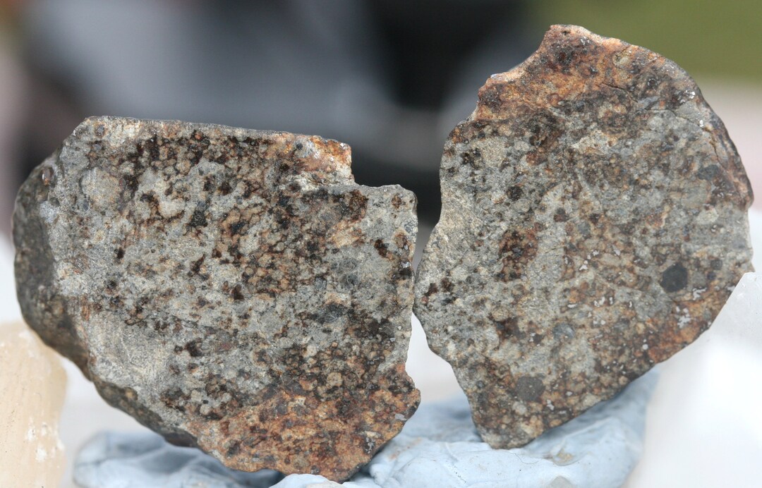 Meteorite 12.34 Grams NWA 869 Split in 2 and Highly Polished - Etsy
