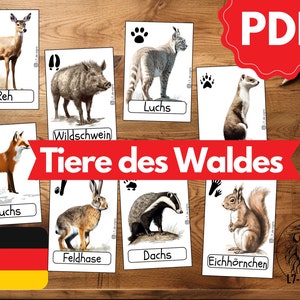 Life Cycle of a Plant Botany Pack Montessori Culture Nature Study ...