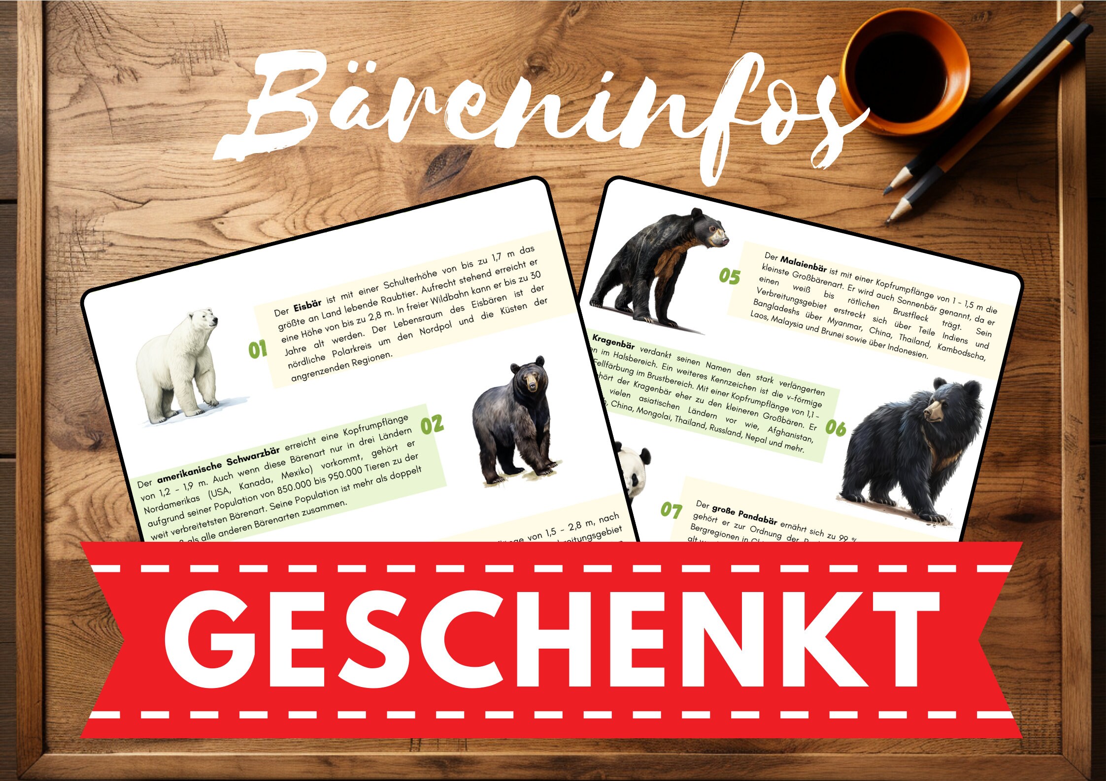 Flashcards BEARS and Their HABITATS | Montessori Cards for Independent ...