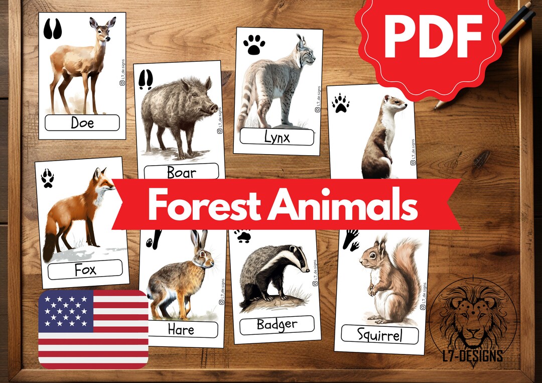Flashcards ANIMAL TRACKS FOREST ANIMALS | Montessori Flashcards for ...