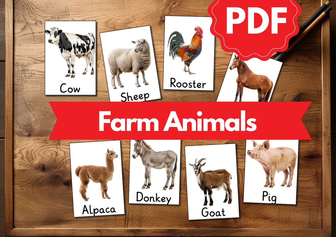 24 FARM ANIMALS Flashcards | Montessori Flashcards for Independent ...
