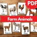 24 FARM ANIMALS Flashcards | Montessori Flashcards for Independent ...