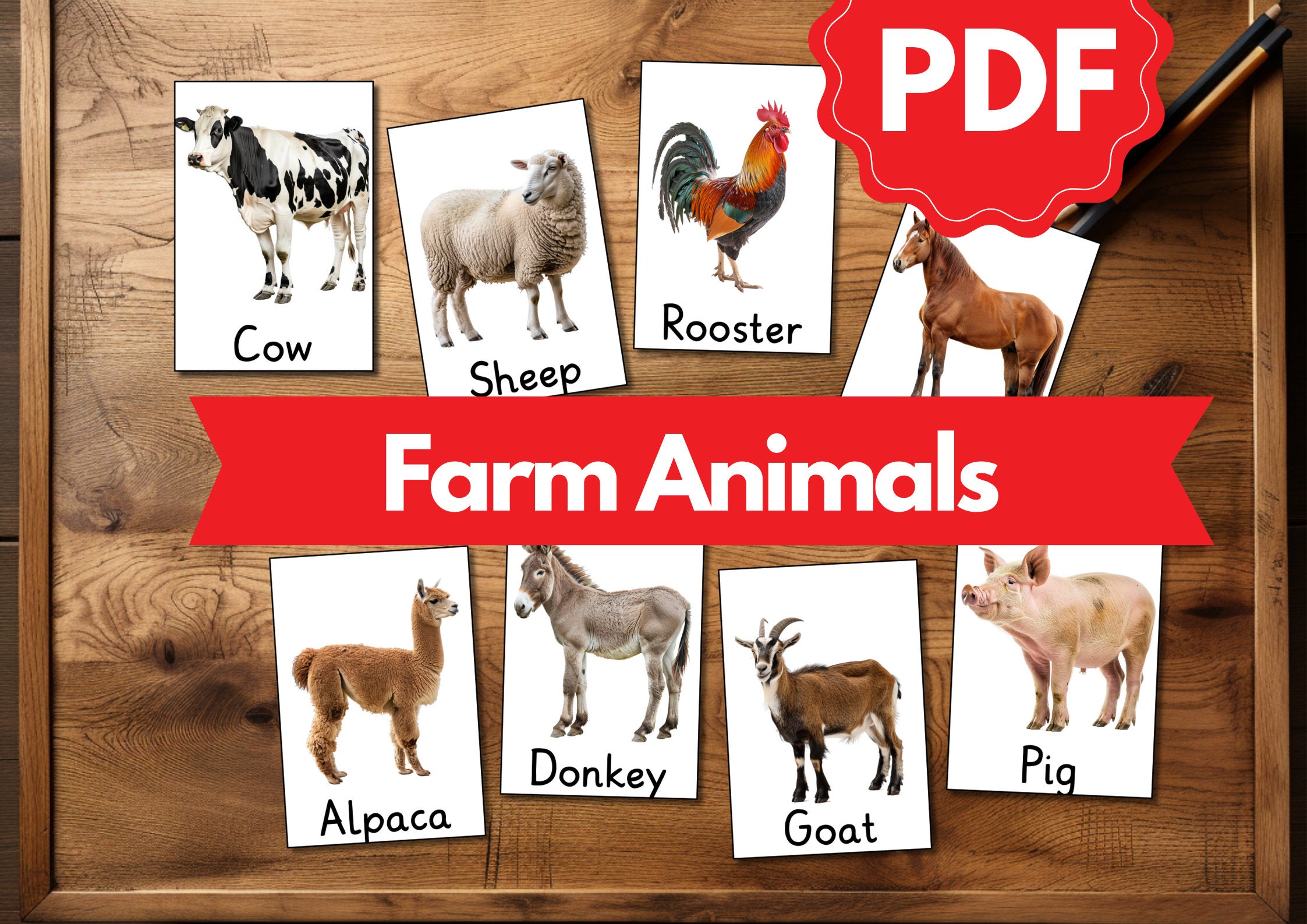 24 FARM ANIMALS Flashcards | Montessori Flashcards for Independent ...
