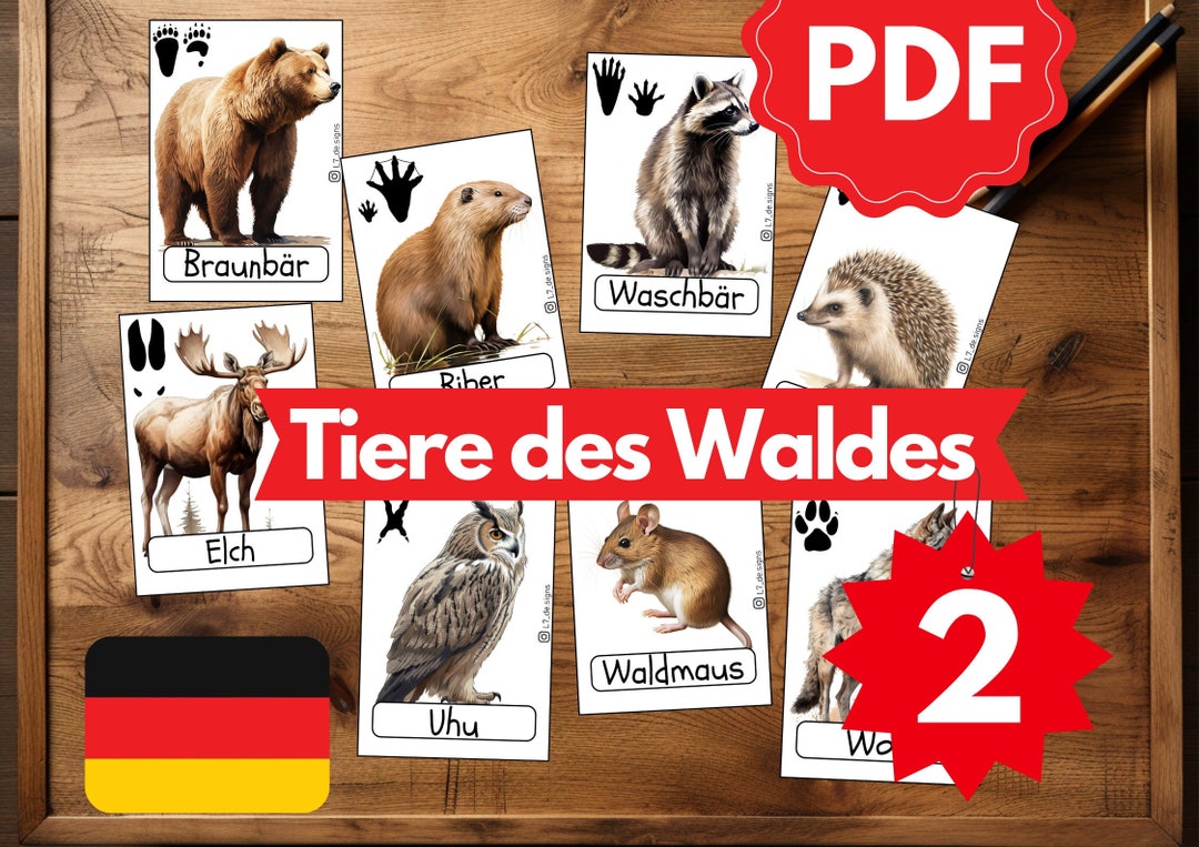 Tarjetas didácticas HUELLAS DE ANIMALES ANIMALES DEL BOSQUE 2 Tarjetas ...