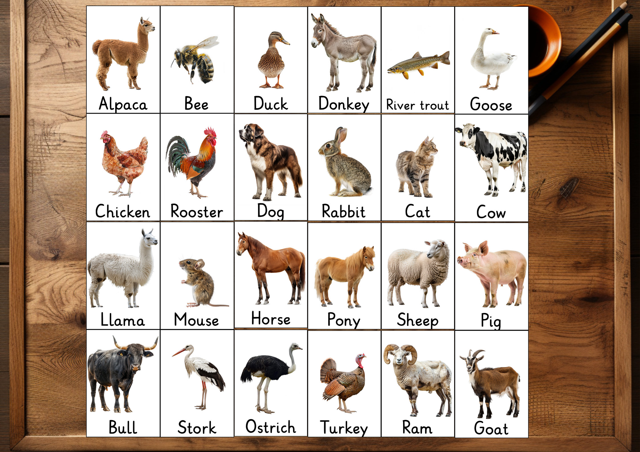 24 FARM ANIMALS Flashcards | Montessori Flashcards for Independent ...