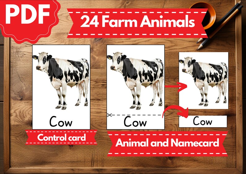 24 FARM ANIMALS Flashcards | Montessori Flashcards for Independent ...