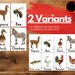 24 FARM ANIMALS Flashcards | Montessori Flashcards for Independent ...
