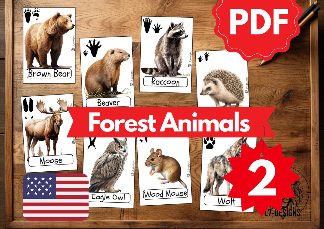 Flashcards ANIMAL TRACKS FOREST ANIMALS 2 | Montessori Flashcards for ...