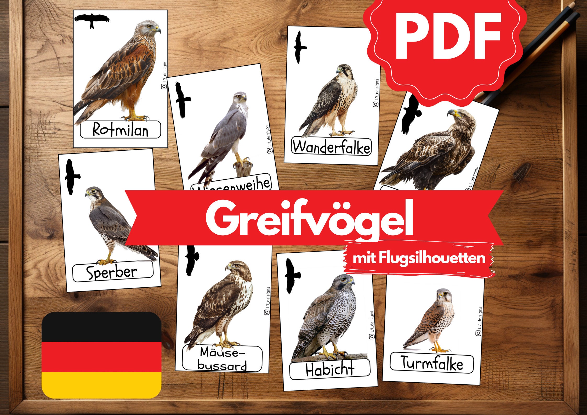 BIRDS OF PREY Flashcards With FLIGHT SILHOUETTES | Montessori ...