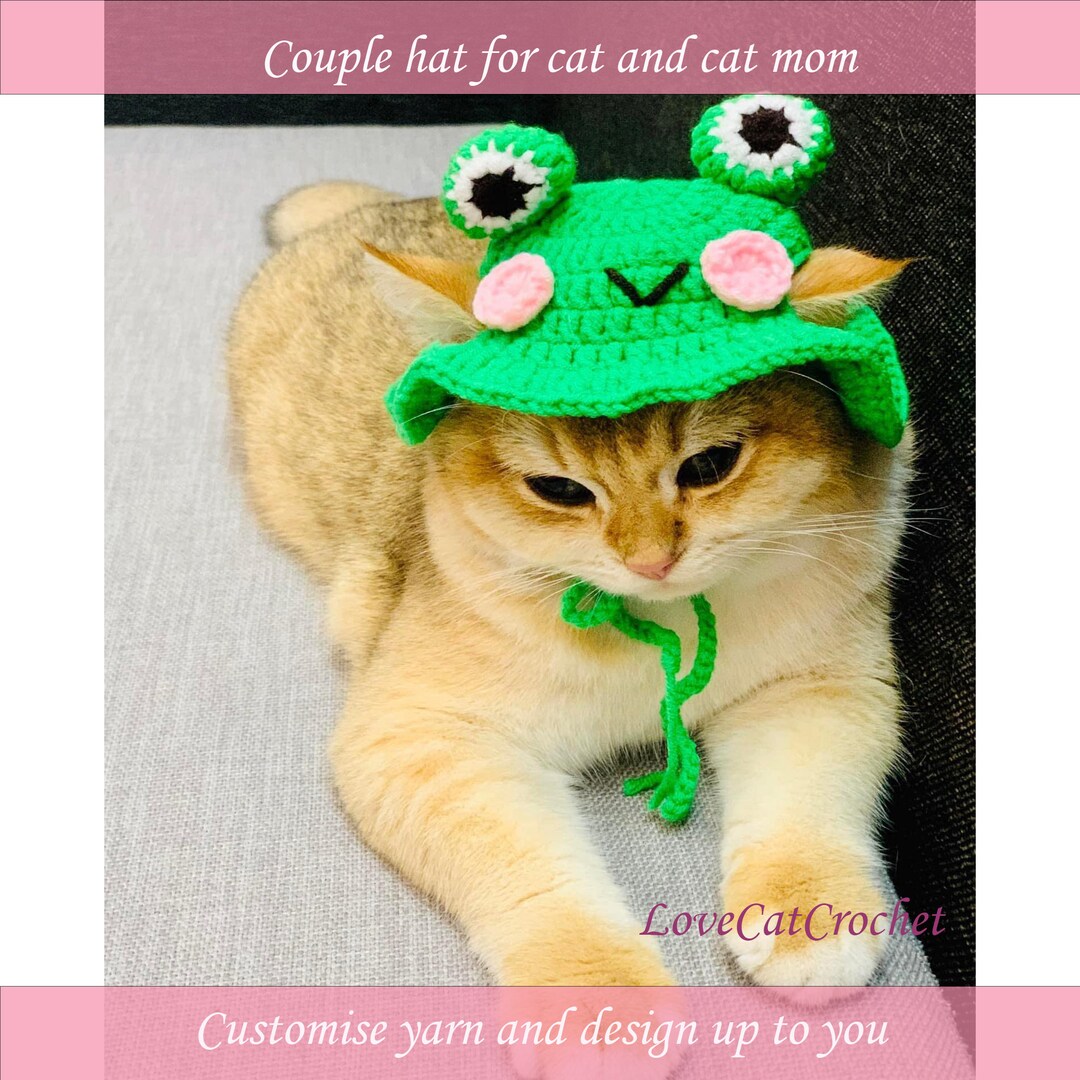 Frog Crochet Hat for Dog Cute Frog Crocheted Hat for Dog - Etsy