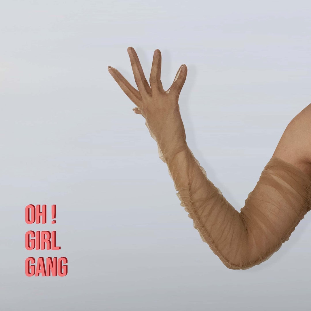 Beige Sheer Opera Gloves, Sheer Opera Gloves, Drag, Stage Outfits ...