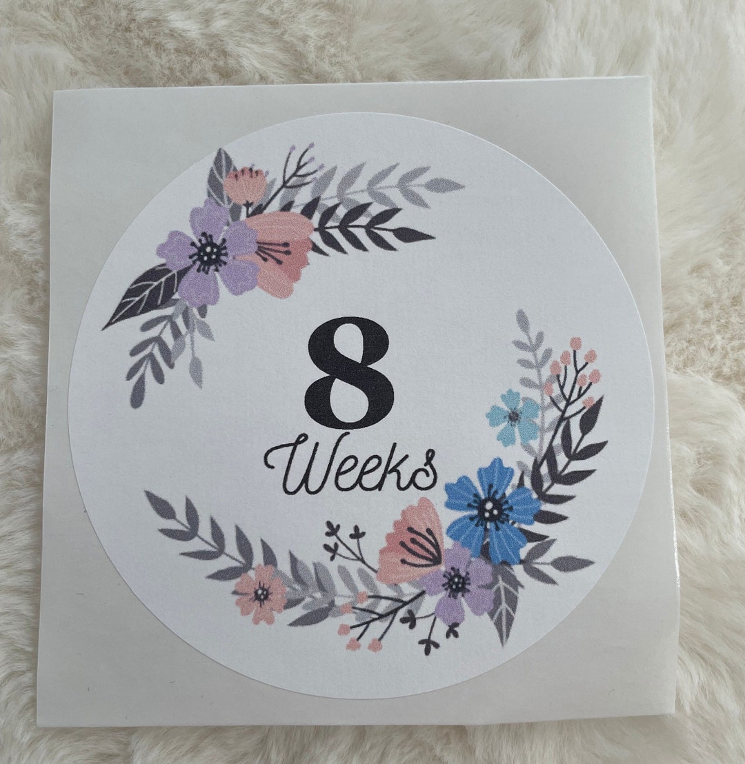 Floral-pregnancy Belly Bump Stickers / FREE Shipping - Etsy