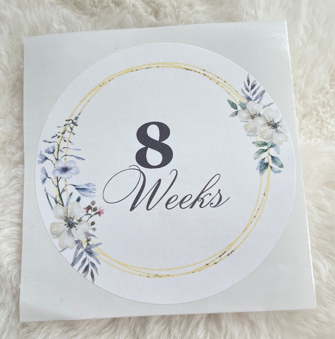 Pregnancy Belly Bump Stickers / FREE Shipping - Etsy