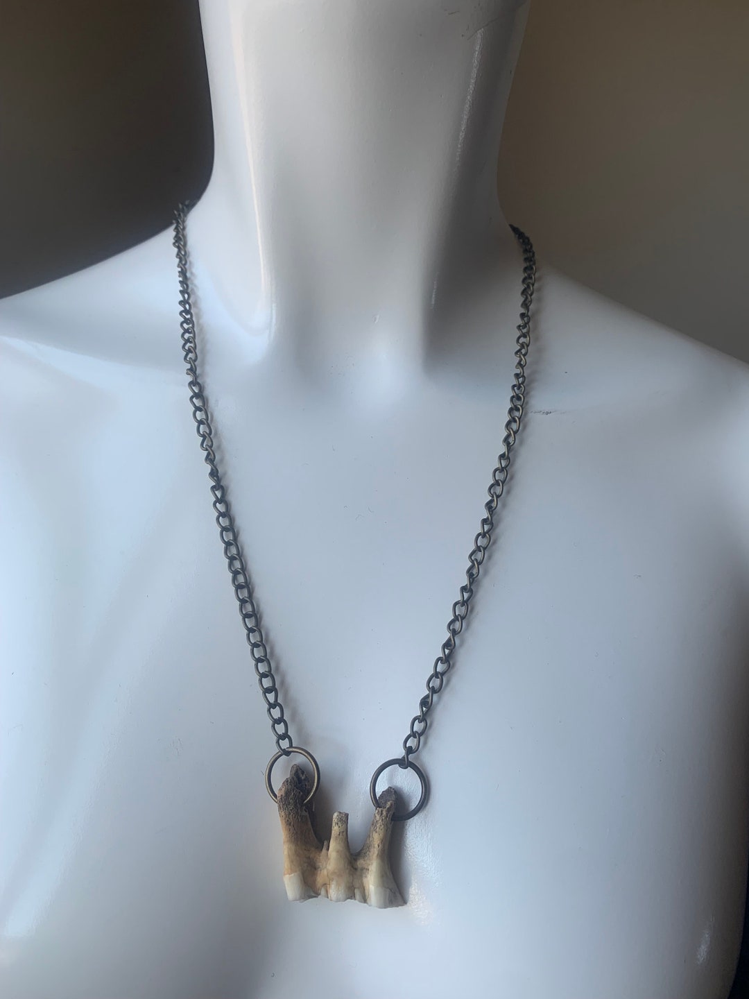 Cow Tooth: Smaller Tooth With Three Roots - Etsy