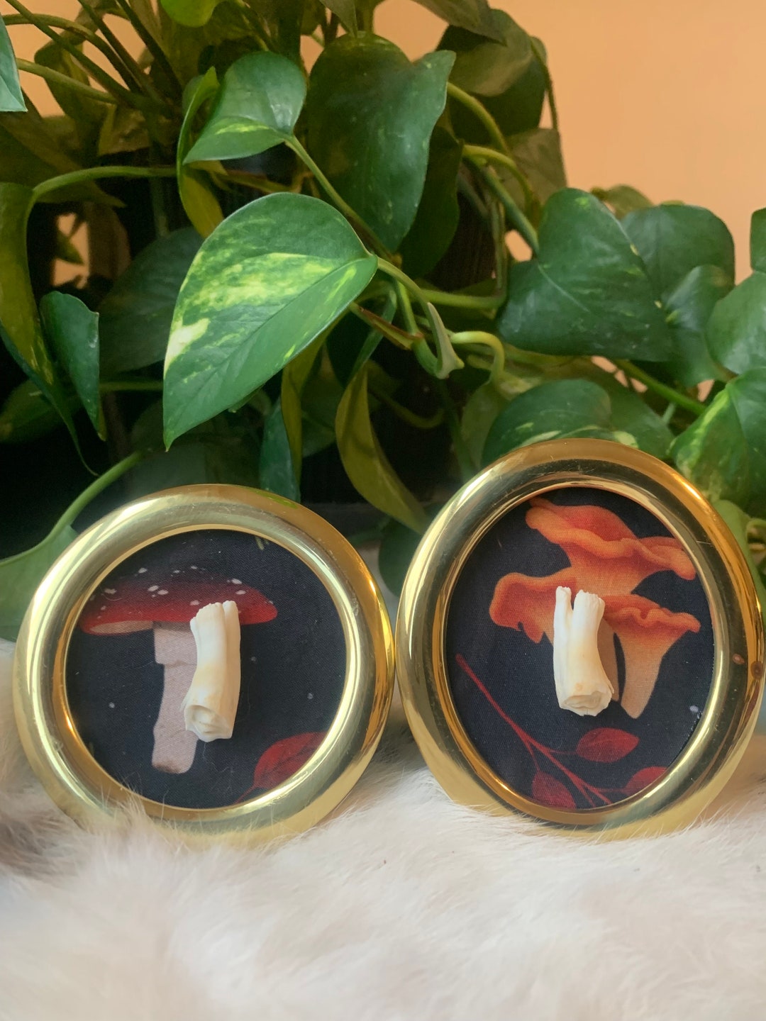Whimsical Mushroom Round and Oval Sheep Teeth Frames - Etsy