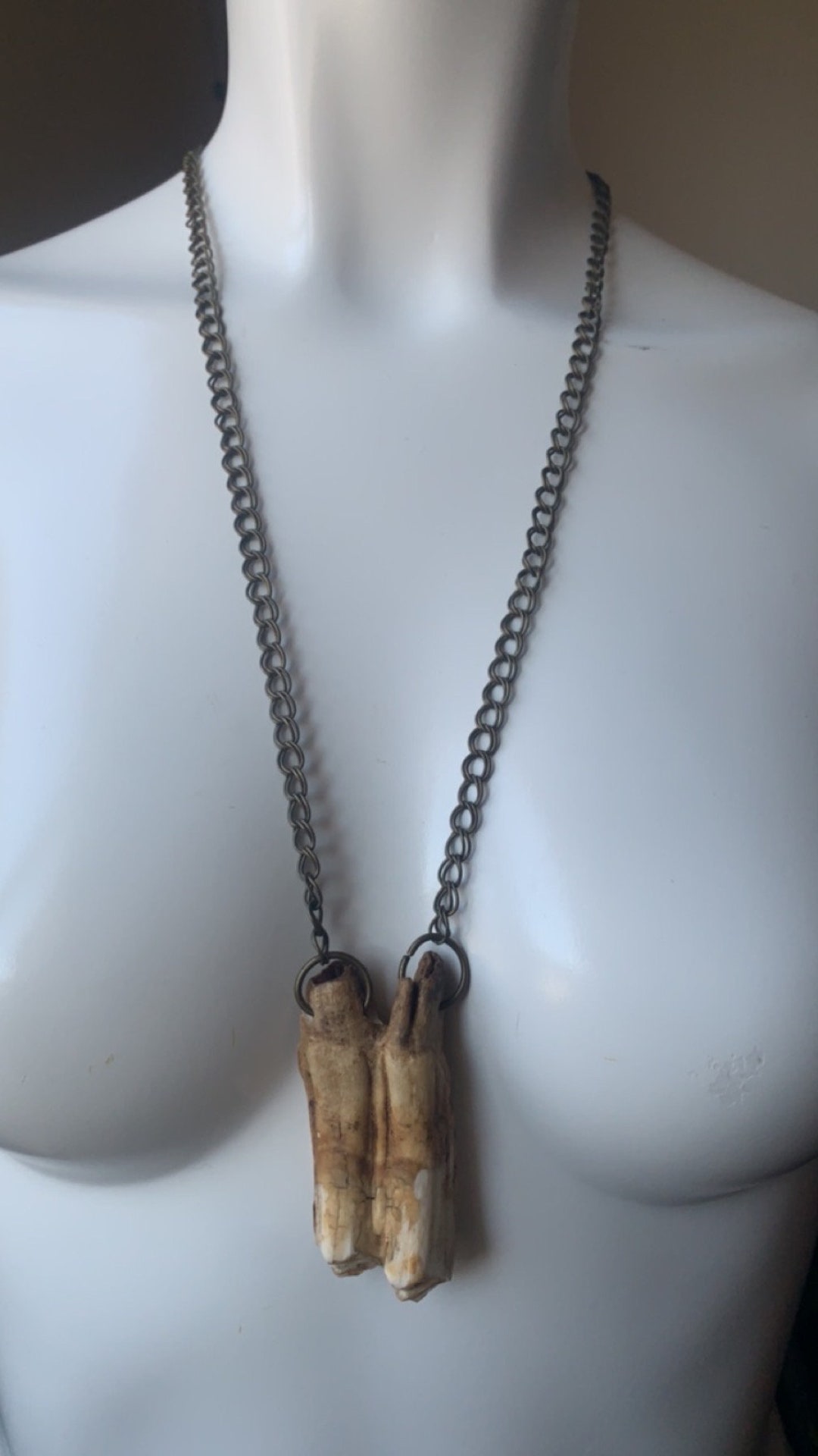 Cow Tooth Necklace With Light Natural Staining - Etsy