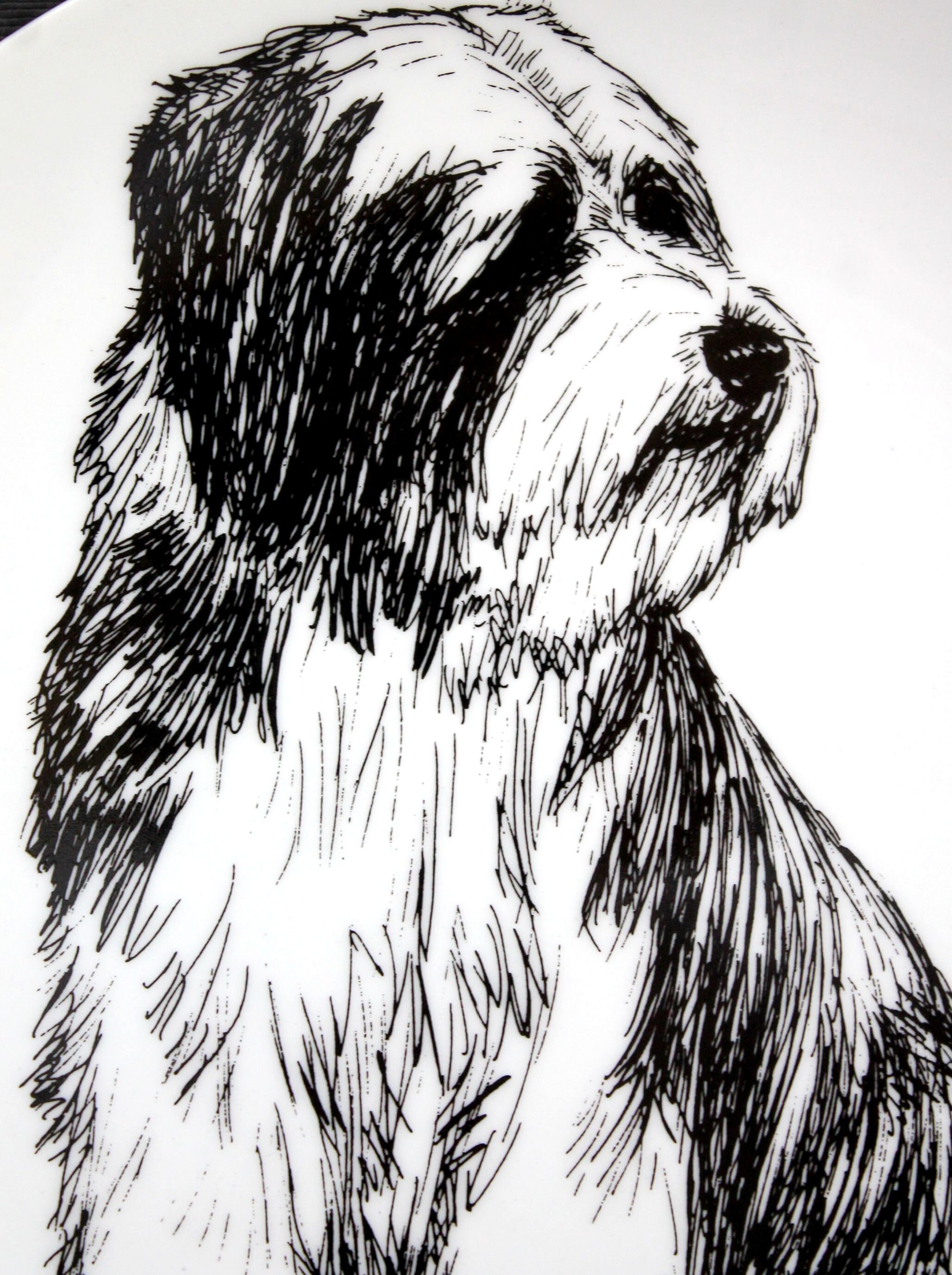 Vintage Black & White Shaggy / Old English Shepherd Dog - Etsy