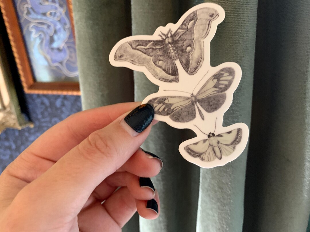 Moth Trio Stickers, Vinyl Moth Sticker - Etsy