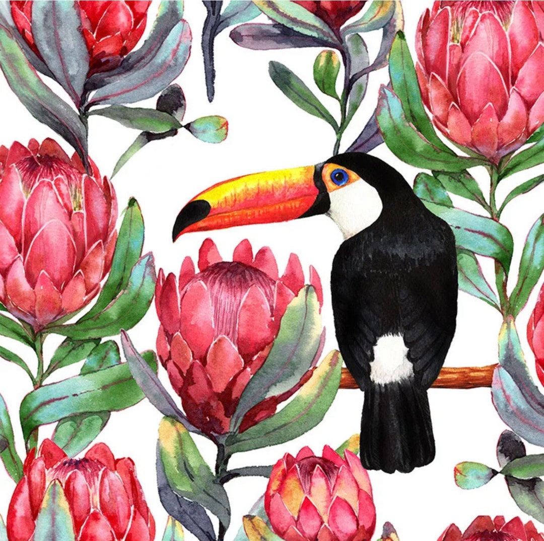 Tropical Toucan Paper Napkins for Decoupage and Other Crafts - Etsy