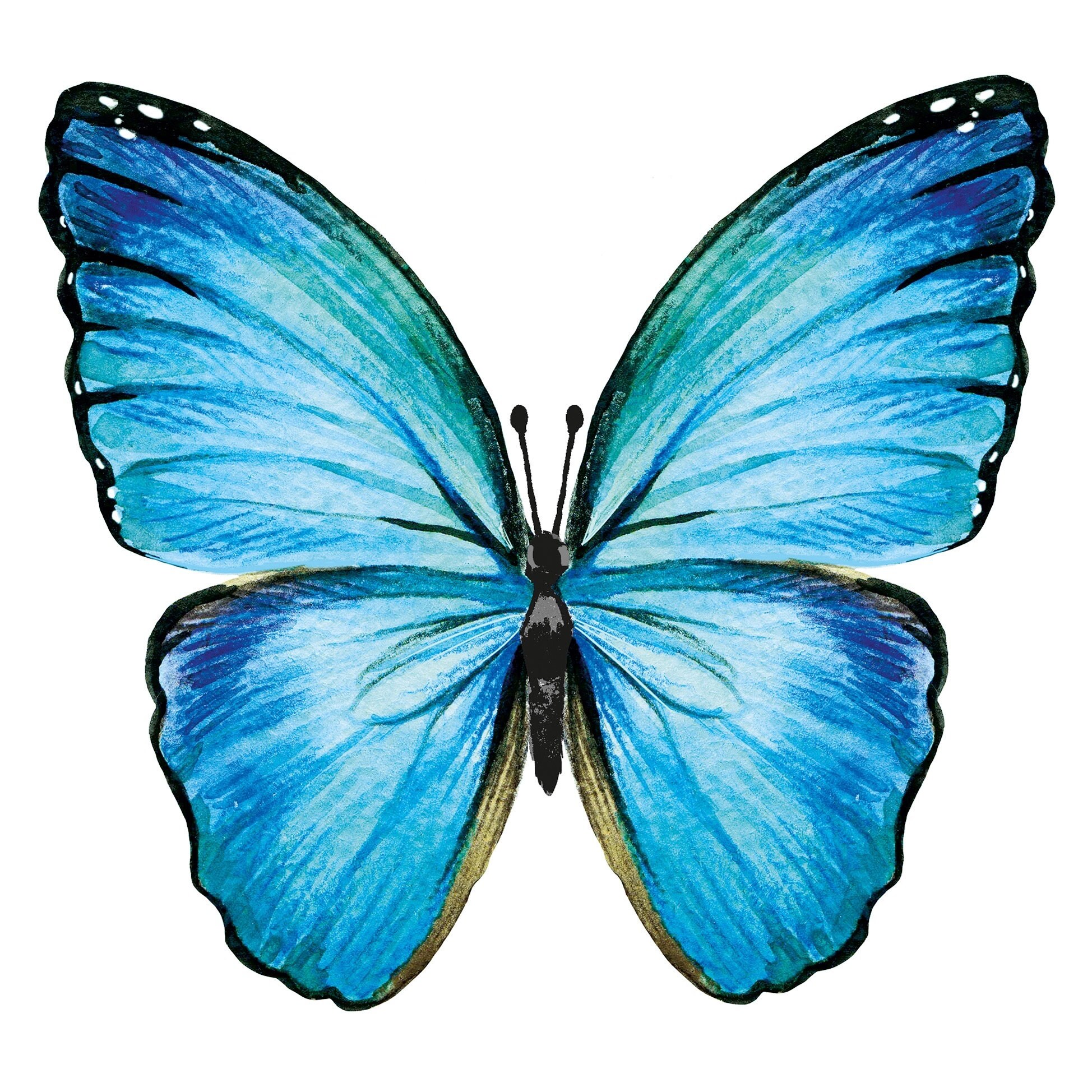 Big Blue Butterfly Paper Napkins for Decoupage and Other Crafts - Etsy