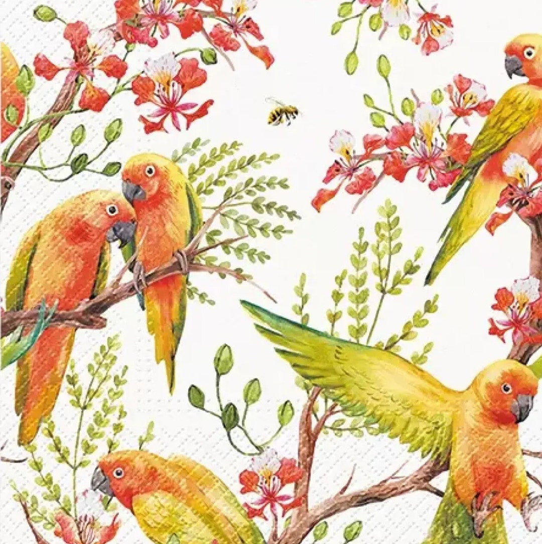Exotic Birds Parrots Paper Napkins for Decoupage and Other Crafts - Etsy