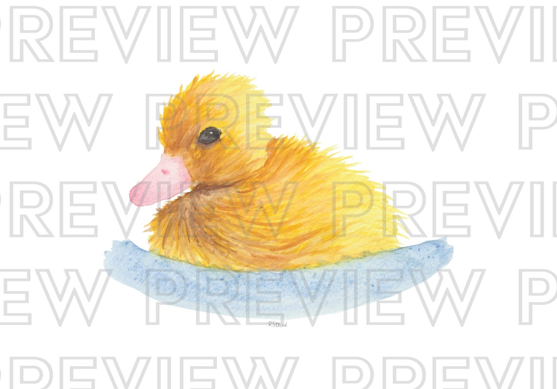Watercolour Duckling | PNG | JPG | SVG | Design | Watercolor | Cute ...