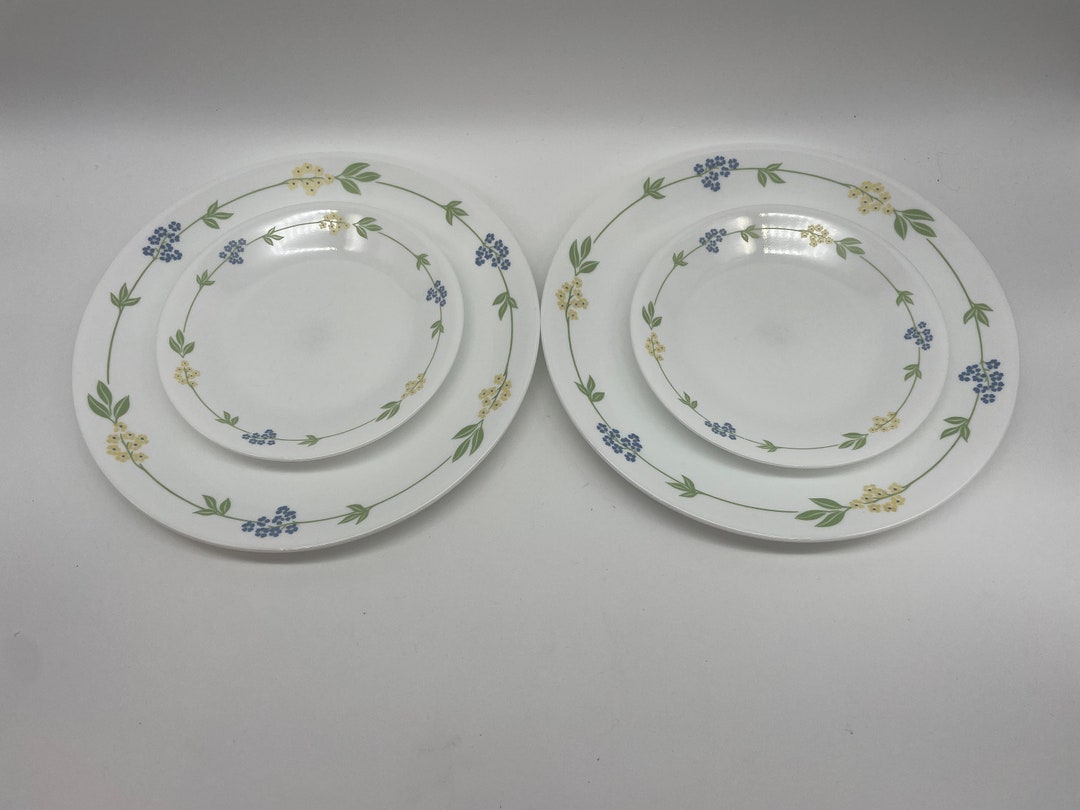 Corelle Secret Garden Dinner Plates (2) and Dessert/bread and Butter ...