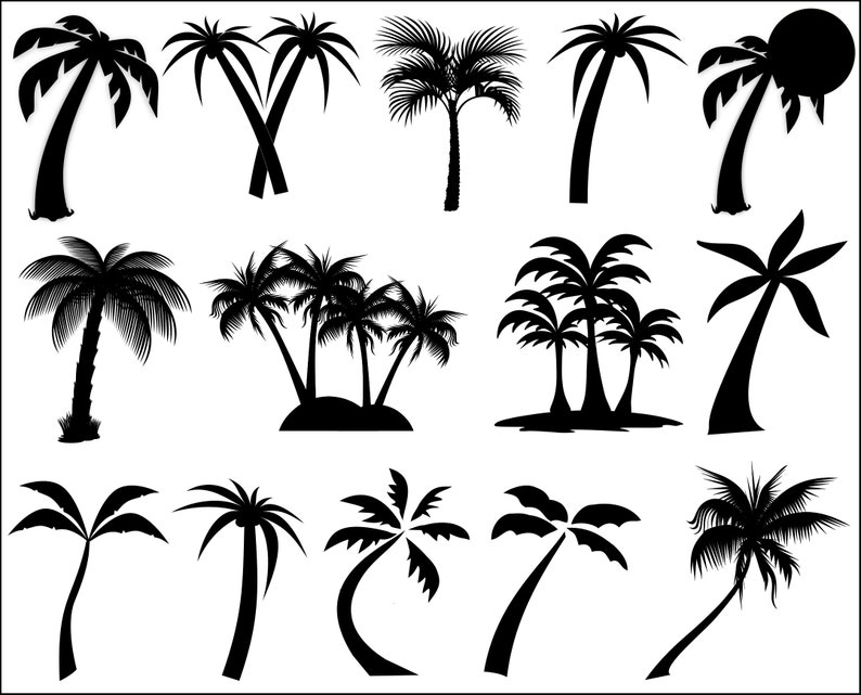 Palmera Svg, paquete de palmeras, imágenes prediseñadas de palmeras ...