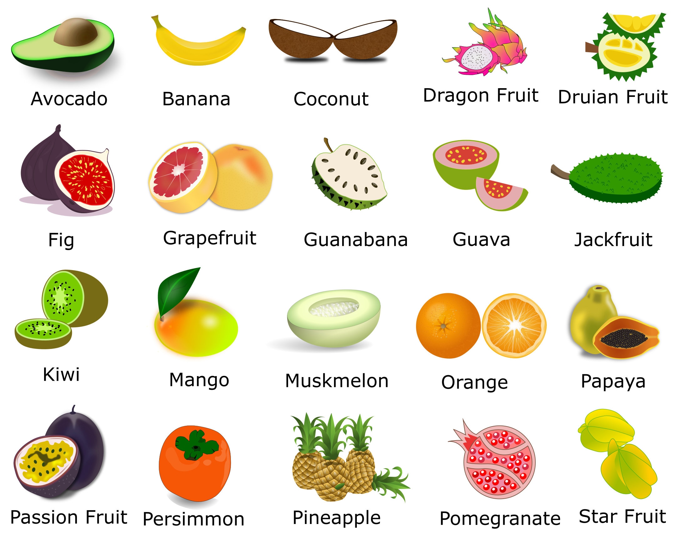 Frutas tropicales Svg Frutas tropicales Svg Bundle Frutas - Etsy España