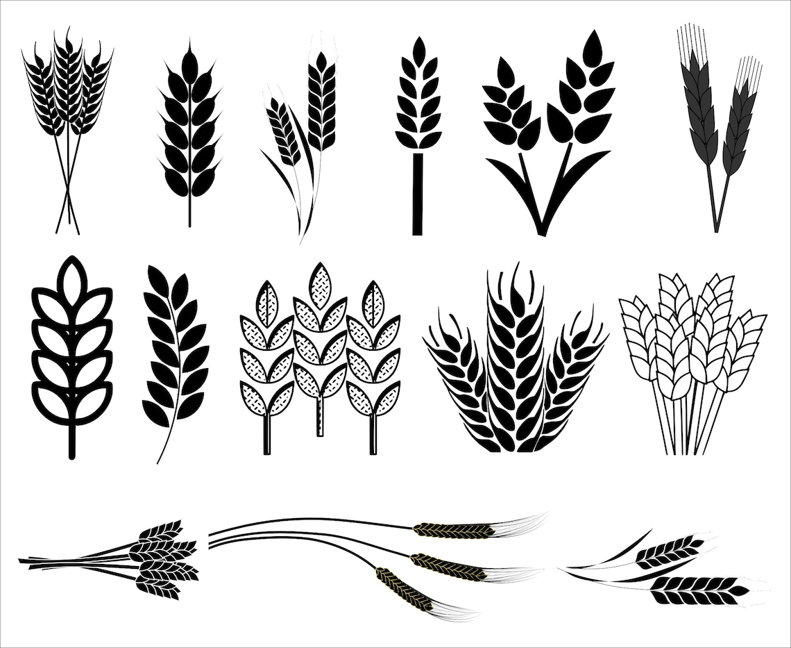 Buy Wheat Svg, Wheat Svg Bundle, Wheat Clipart, Wheat Silhouette, Wheat ...