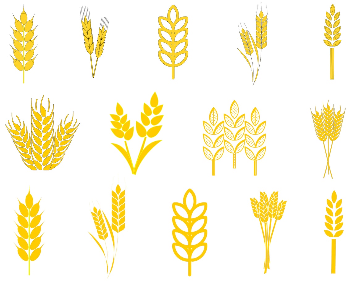 Wheat Svg, Wheat Svg Bundle, Wheat Clipart, Wheat Cut File, Wheat ...
