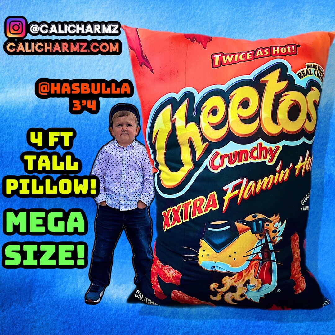 4 FT Tall Mega Sized Xxtra Flamin Hot Cheetos Cheezit Cheese - Etsy