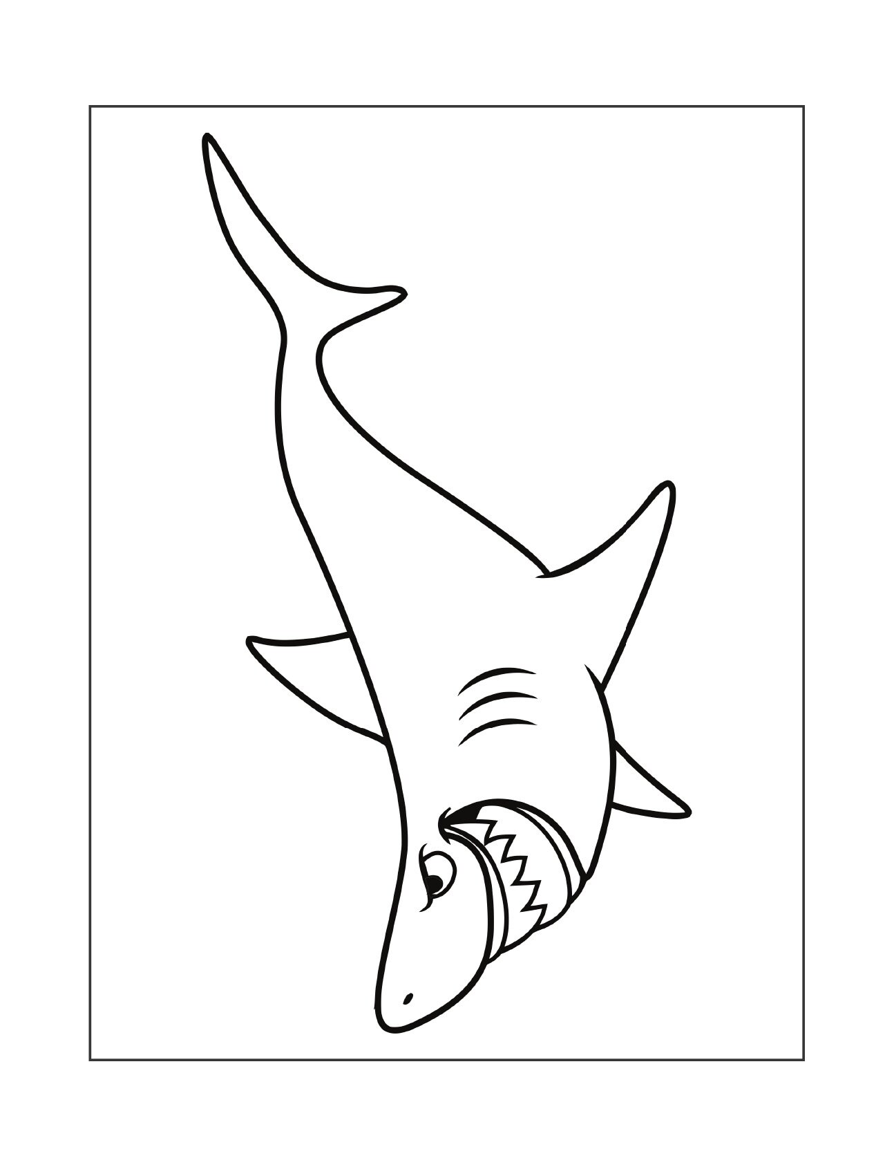 Sharks, Dolphins & Fishes Coloring Pages - Etsy