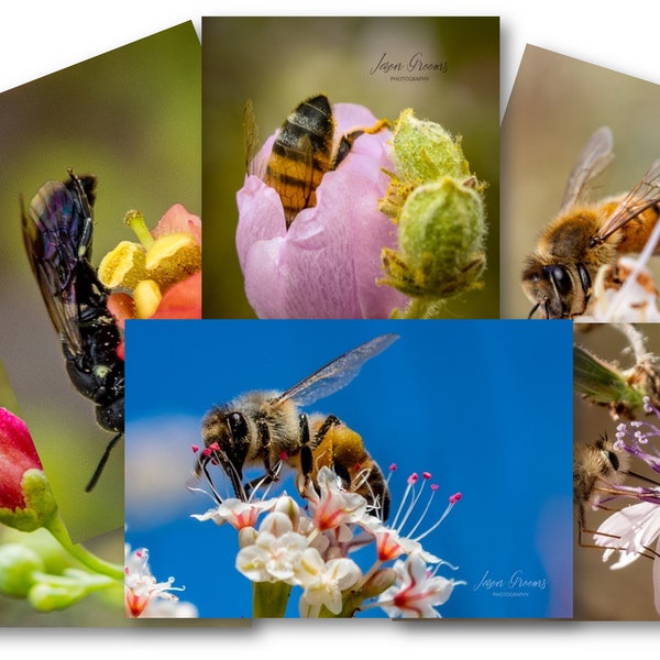 Bee Postcard - Etsy