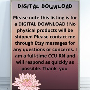 Bluey Inspired Stationary, Bluey Kids Stationary Paper, Bluey Note Pads ...