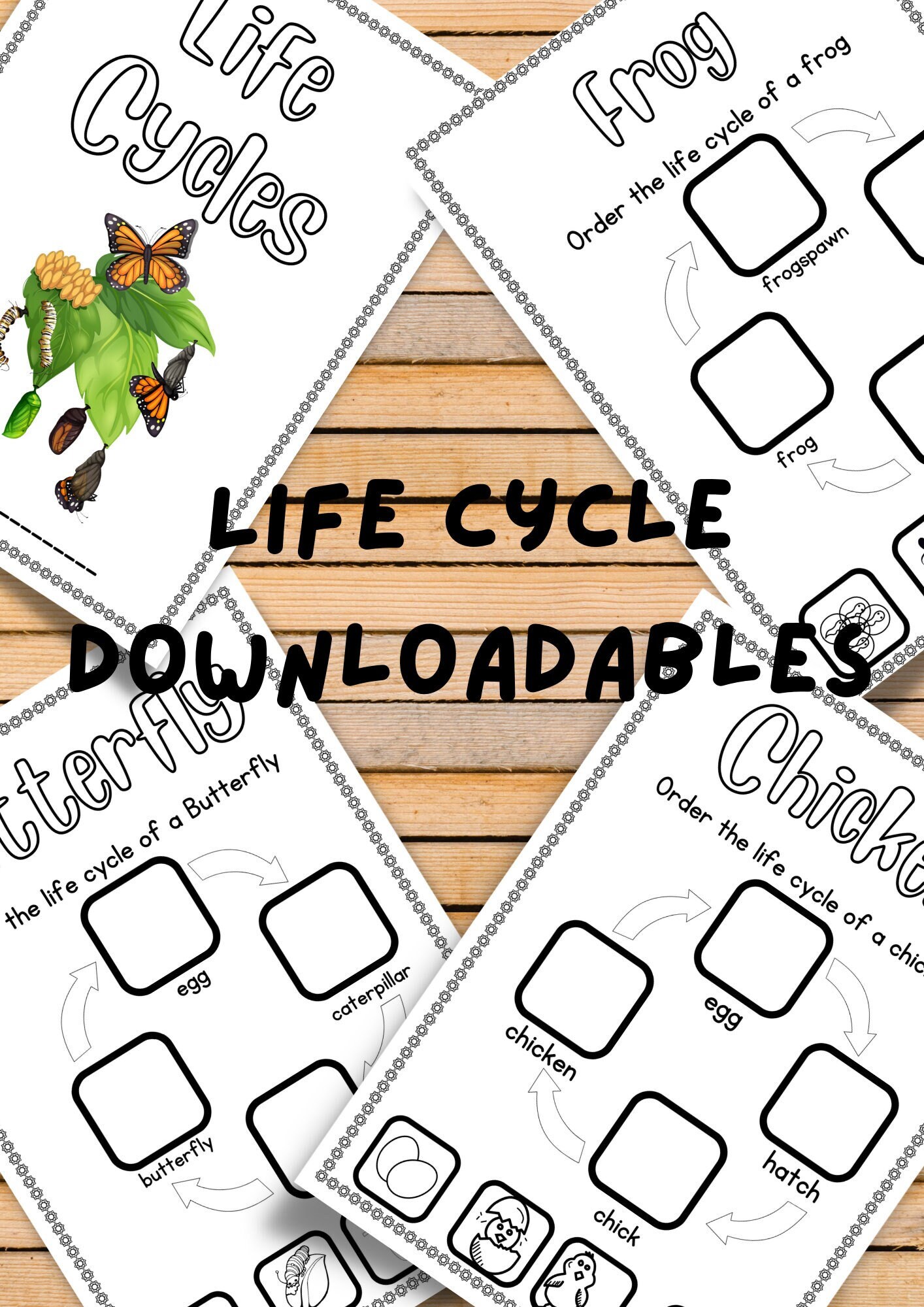 Life Cycle Worksheets Downloadable - Etsy