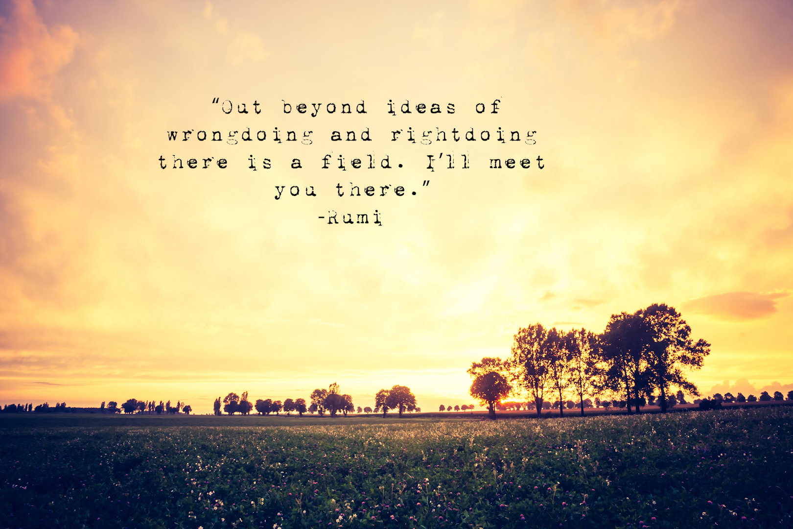 Rumi Quote Art field - Etsy