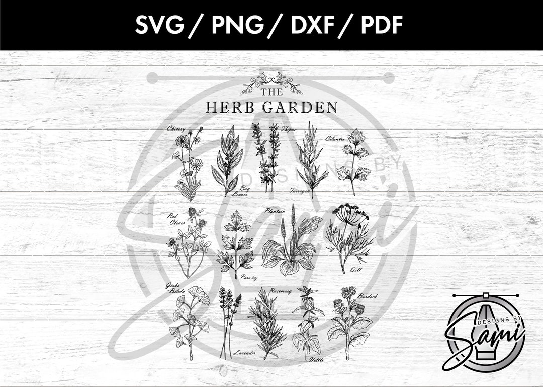 The Herb Garden Svg, Png, Dxf, Pdf | Herbs Svg | Spices Svg | Hand ...