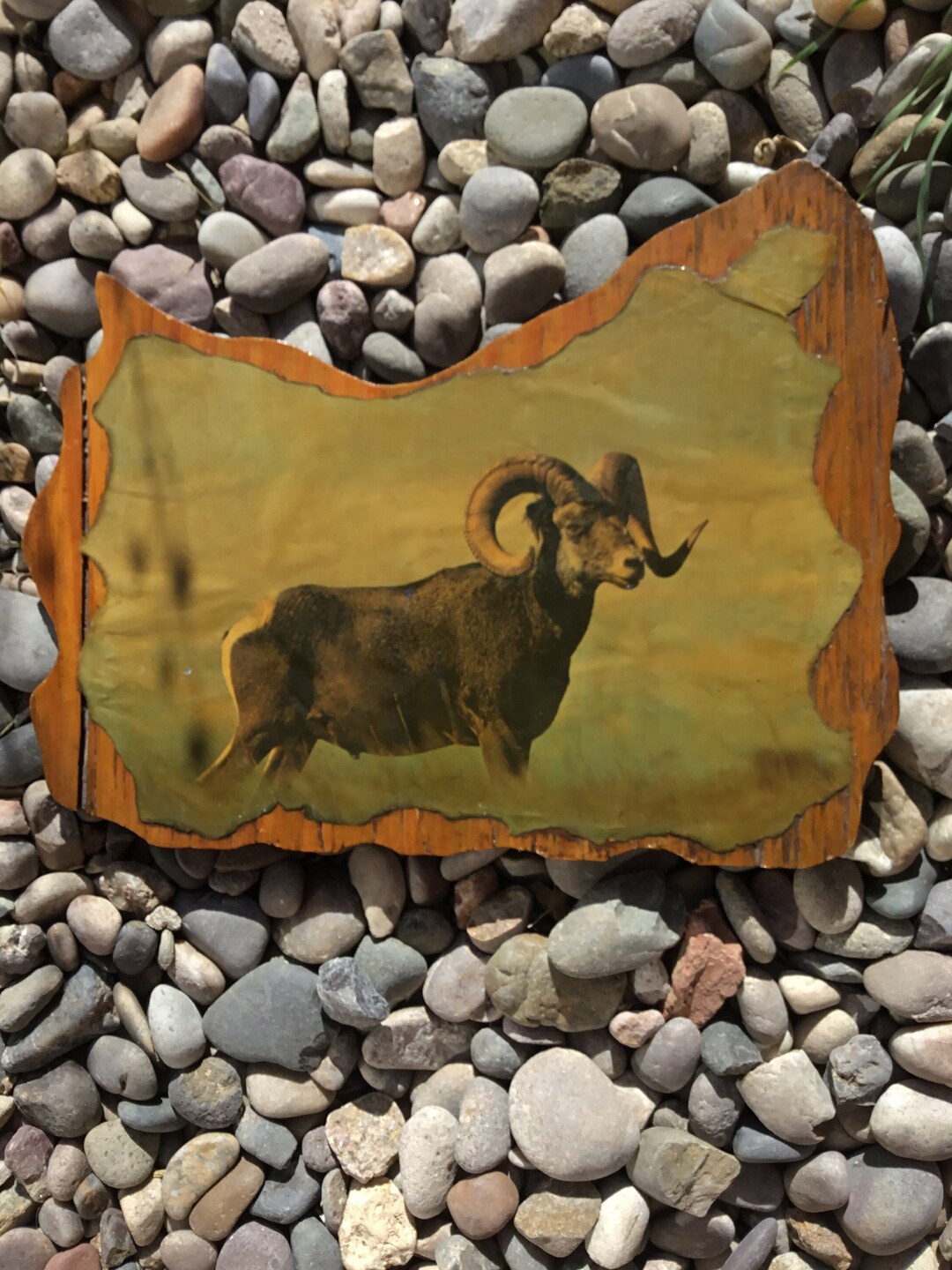 Vintage Rustic Wood Wall Plaque With Ram. Vintage Wall Plaque of Rustic ...