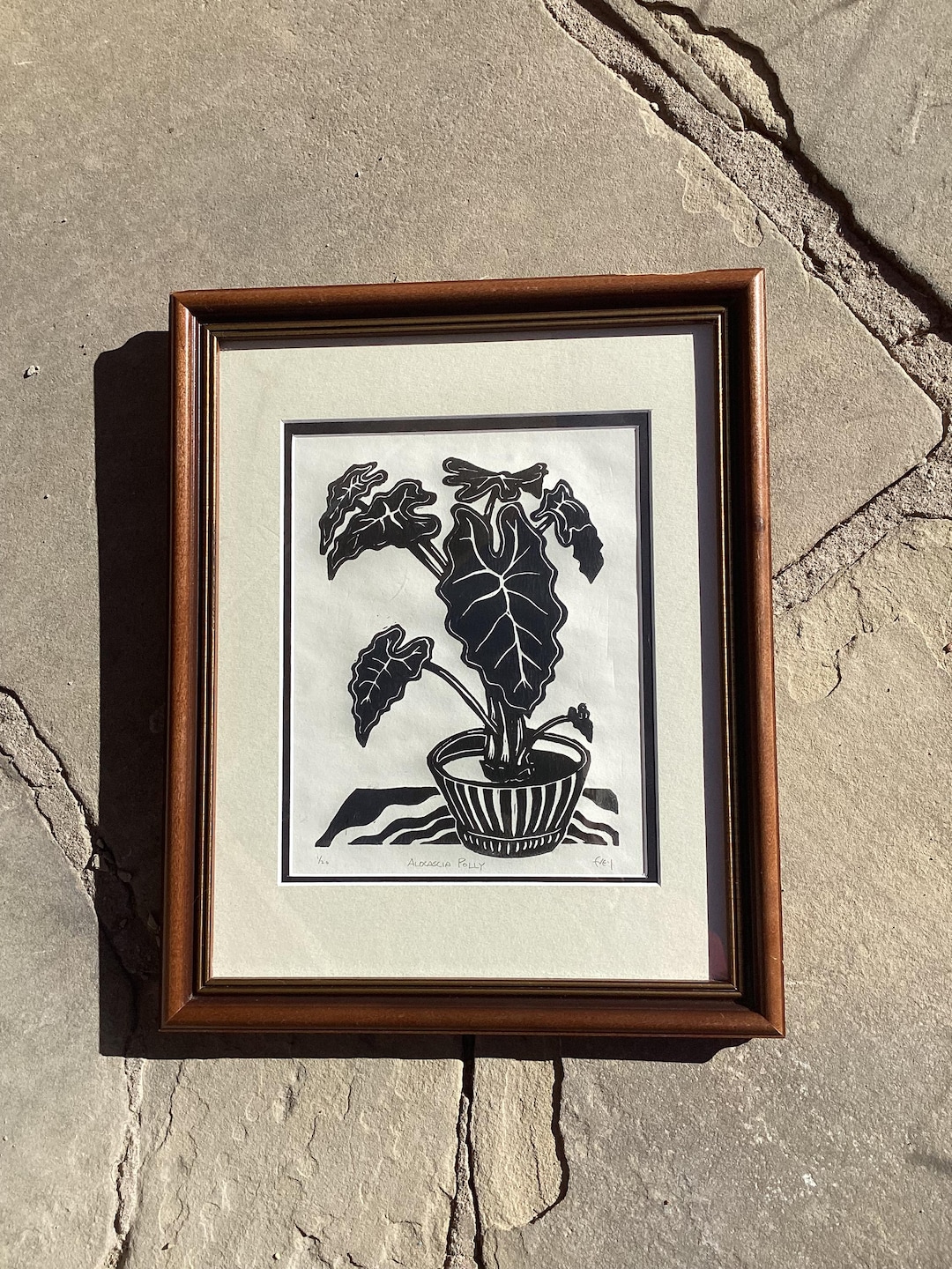 Alocascia Polly Screen/block Print. Limited Edition Artist Signed and ...