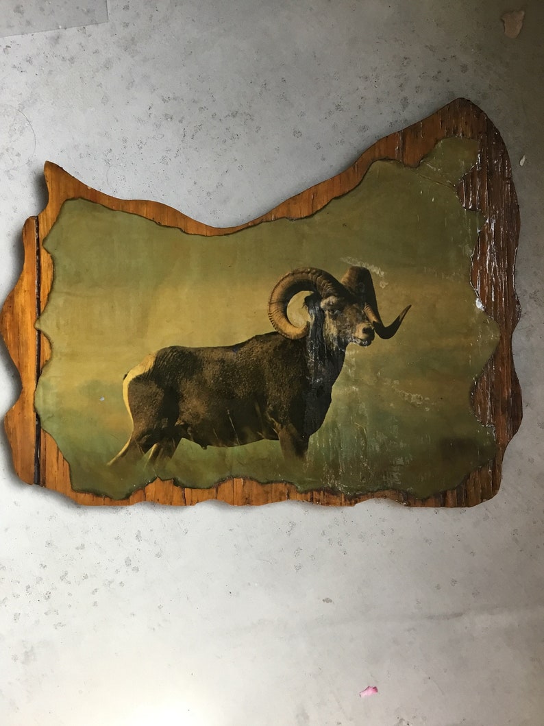 Vintage Rustic Wood Wall Plaque With Ram. Vintage Wall Plaque of Rustic ...