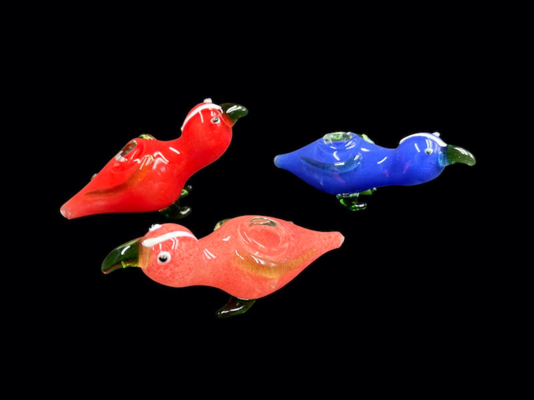 Parrot Pipe Glass Unique Smoking Pipes 5 100GR - Etsy