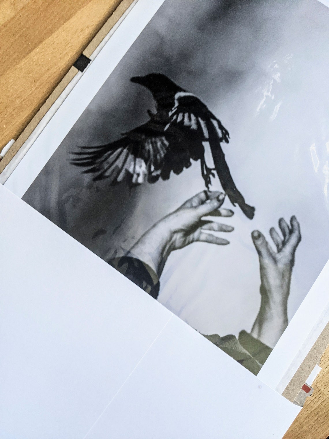 Mum & Magpie Ii /black and White Magpie Print / Original Wall Art ...