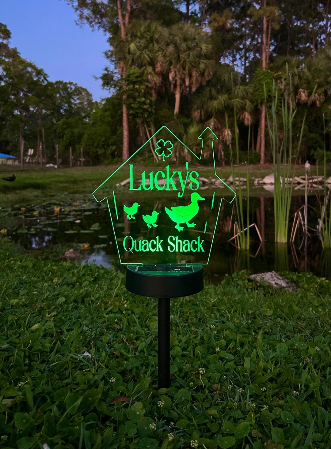 Personalized Duck Sign, Garden Sign, LED Sign, Neon Sign, Solar, Lake ...