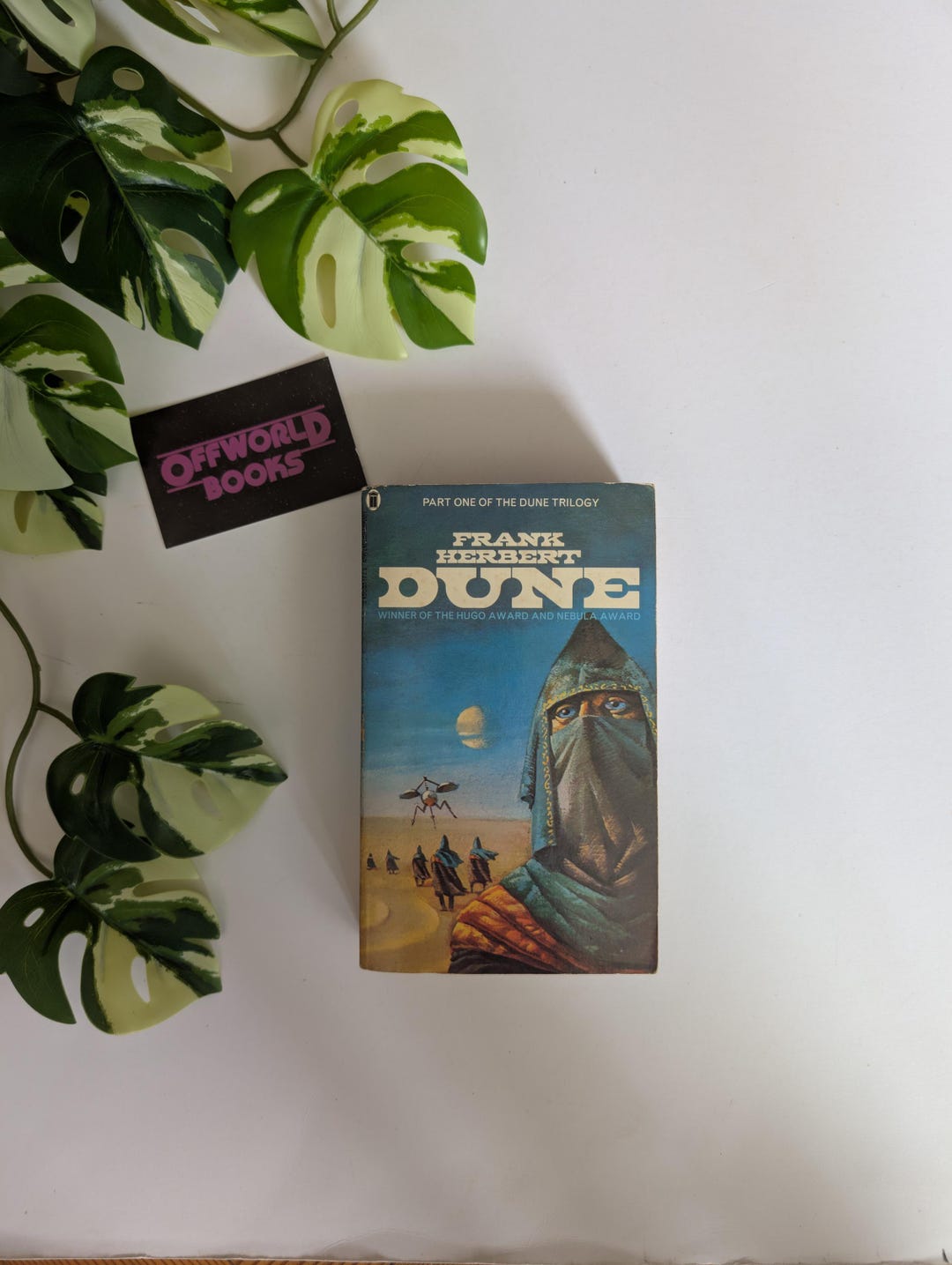 Dune by Frank Herbert *bruce Pennington Cover* - Etsy