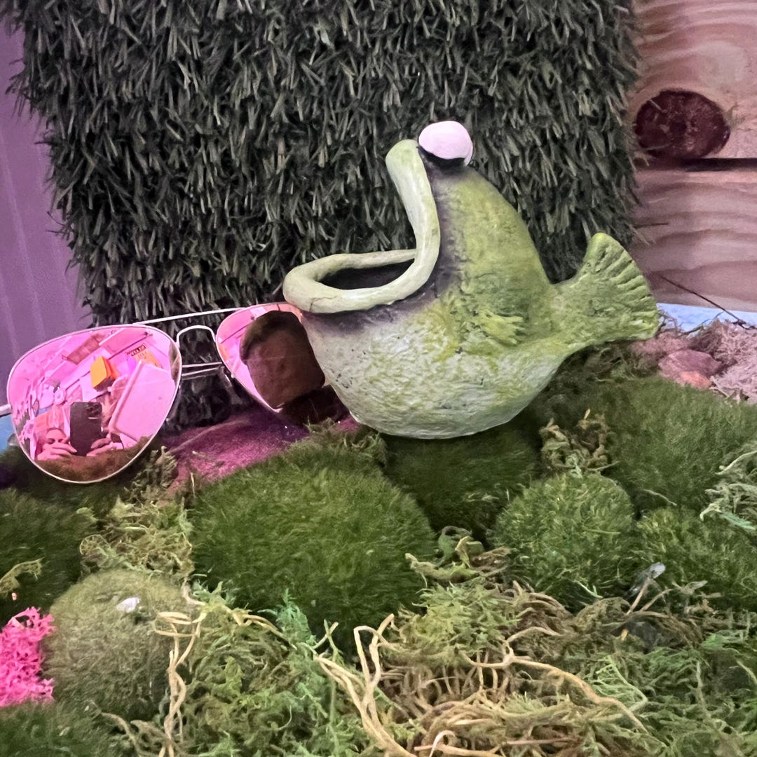Big Mouth Fish Planter - Etsy