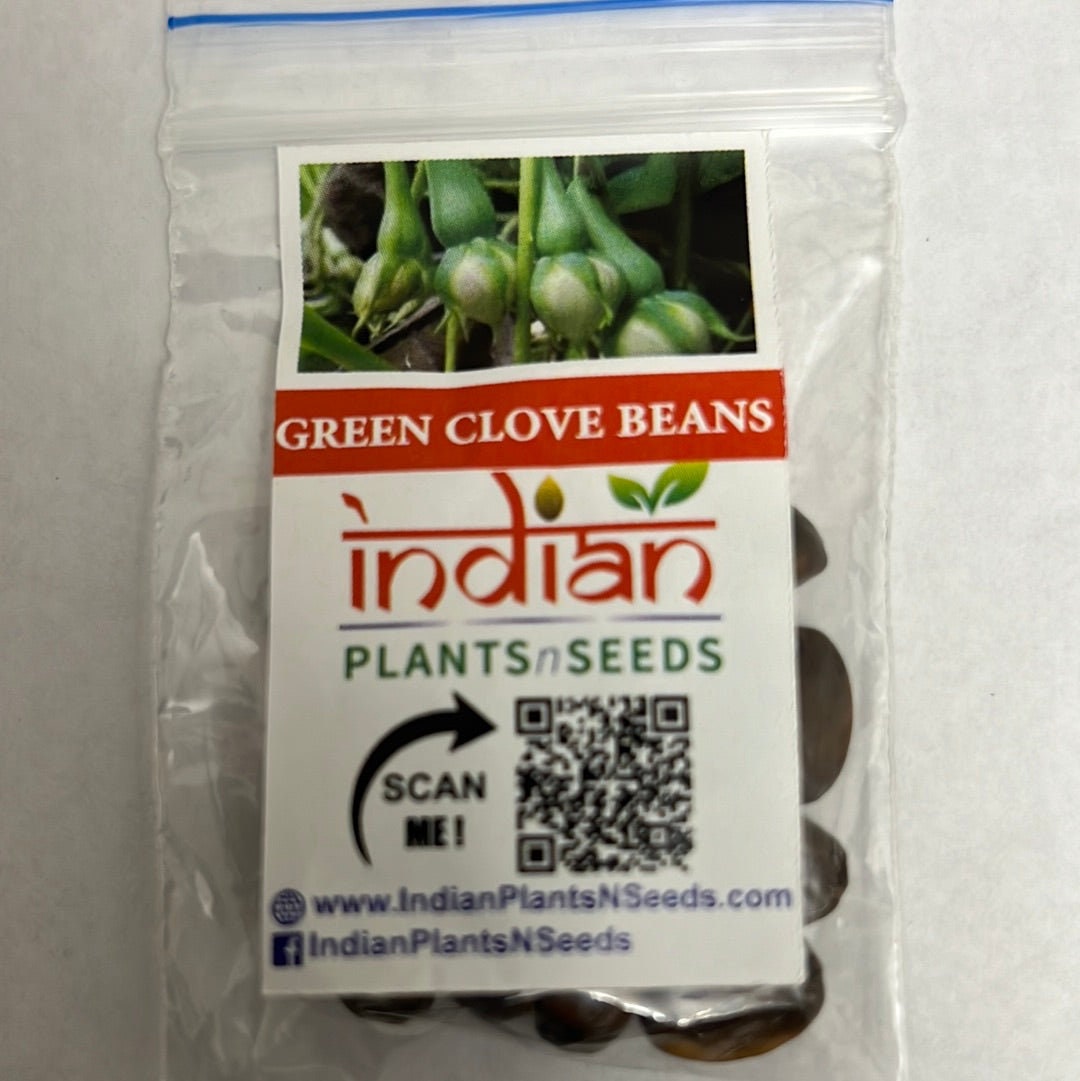 IPS095- Green Clove Beans- 10 Plus Seeds - Etsy